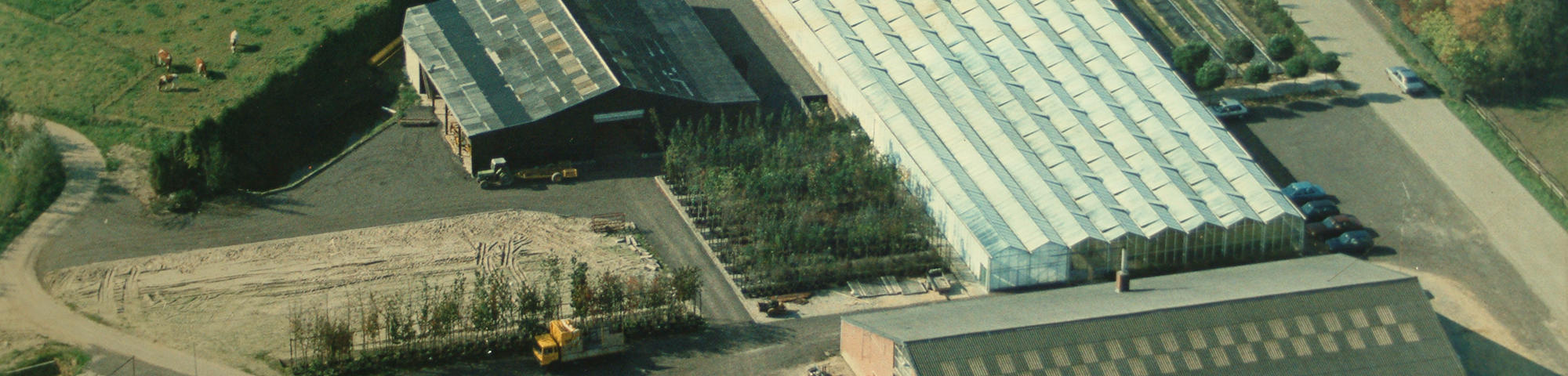 Trees since 1862 | About Ebben | Ebben Nurseries